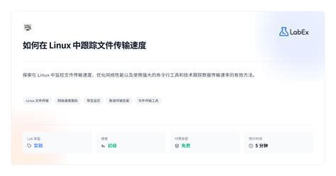如何在 Linux 中跟踪文件传输速度 Labex