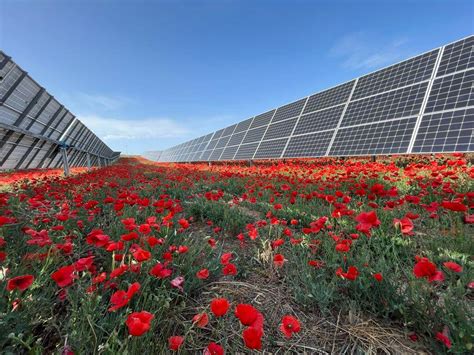 Solaria Batte Il Record Con 107 5 Milioni Di Utile Netto E Accelera La Sua Espansione