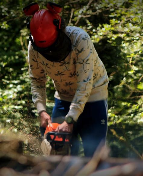 How To Remove Fungus On Trees Effectively