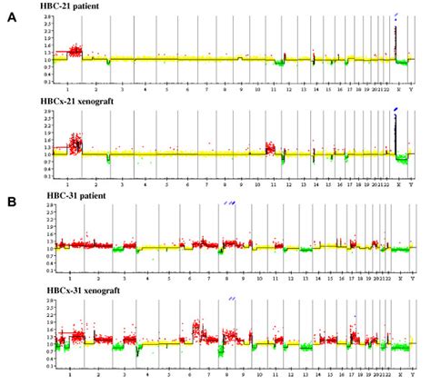 Array Cgh Profiles Of Patient Tumors Top And Xenografts Bottom Download Scientific Diagram