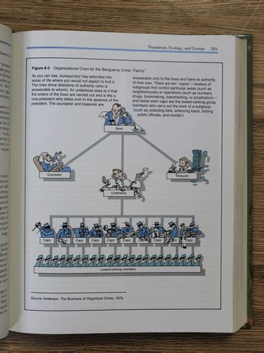 Allan G Johnson Human Arrangements An Introduction To Sociology