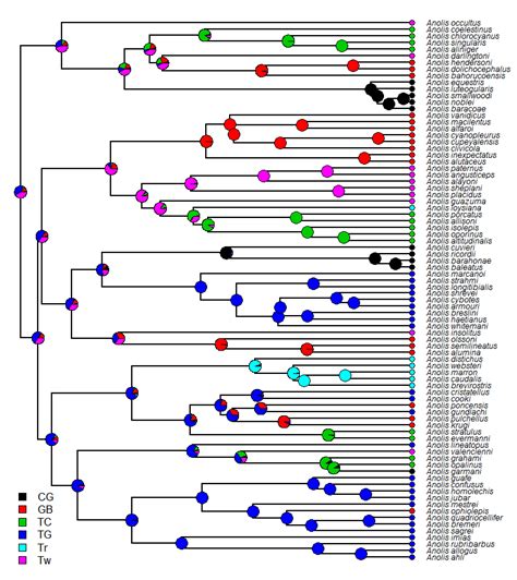phylogenetic tools for comparative biology new print and plot methods