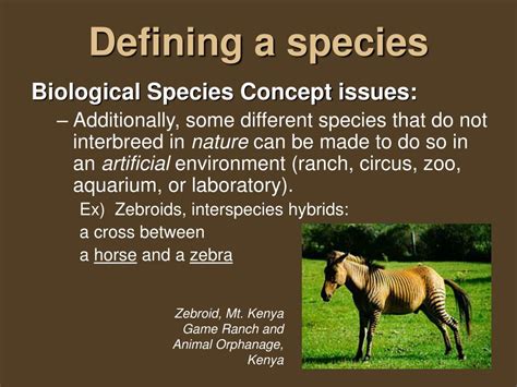 Ppt Macroevolution And Speciation Powerpoint Presentation Free Download Id 6578188