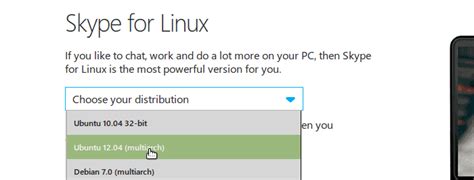 How To Install Skype On Linux Mint