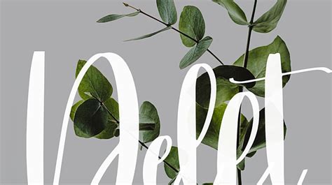 Delft Font Download Free For Desktop And Webfont