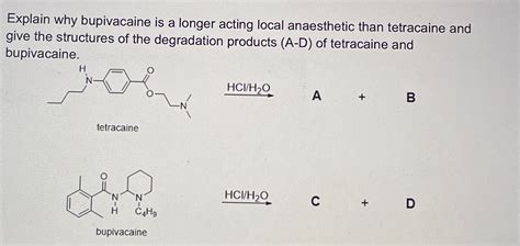 Solved Explain Why Bupivacaine Is A Longer Acting Local A