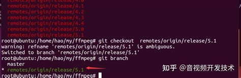 最新版本ffmpeg源码安装 vscode开发环境搭建 知乎