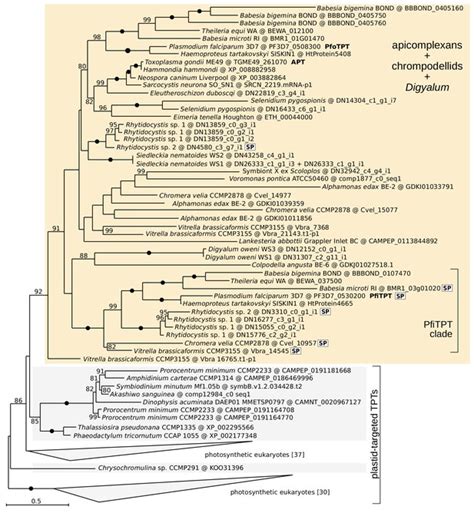 Figures And Data In Apicomplexan Like Parasites Are Polyphyletic And Widely But Selectively