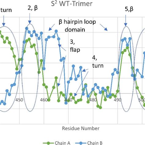 Flap Open And Closed States Of The Unbound Rbd Subdomain Region Of