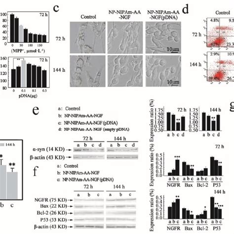 Fig S2 Raman Spectra Of The Synthesized Magnetite Nanoparticles The Download Scientific