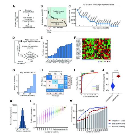 Rationalized Feature Selection Optimizes Ml Models Prediction Download Scientific Diagram