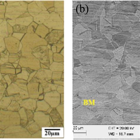 Microstructure Of Base Metal A Typical Om Micrograph B Typical Sem