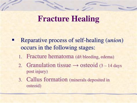 Ppt Bone Histology Fracture Healing Powerpoint