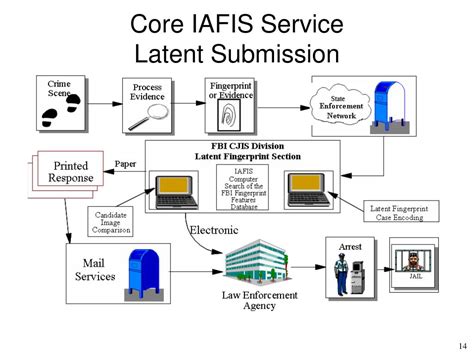 Ppt Cj328 Unit 3 Review Things You Should Know Powerpoint