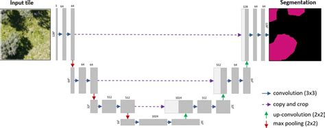 Scheme Showing The Cnn Based Segmentation Implemented Using The U Net