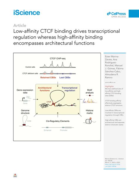 Pdf Low Affinity Ctcf Binding Drives Transcriptional Regulation Whereas High Affinity Binding