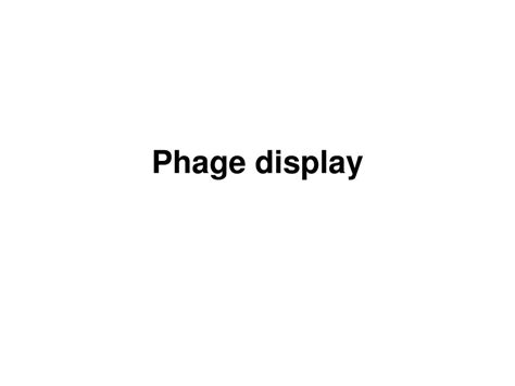Ppt Phage Display Powerpoint Presentation Free Download Id1017709