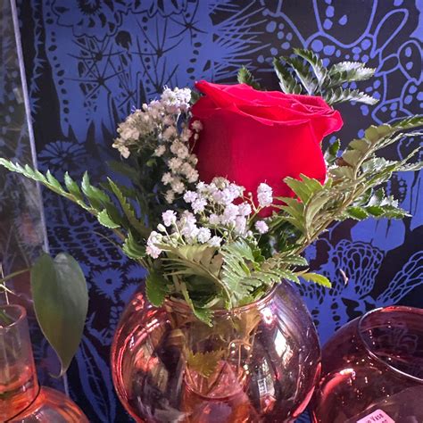 Single Stem Rose Fibonacci Plants