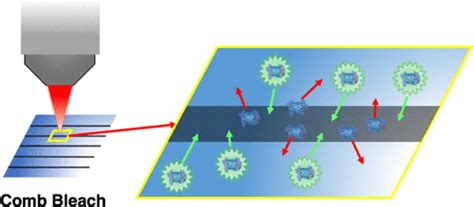 Fast Diffusion Characterization By Multiphoton Excited Fluorescence Recovery While