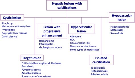 Illustration Of A Diagnostic Approach To Calcified Hepatic Lesions