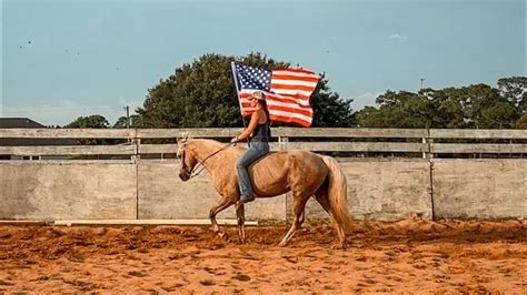 For Sale Legends Dark Sunrise Lady Ladybug Youtube