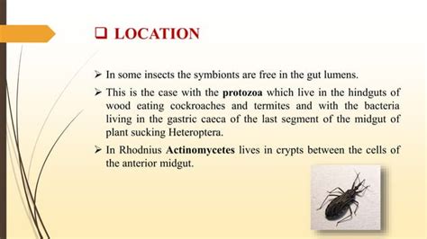 Intra And Extra Cellular Microorganism And Their Role In Insect