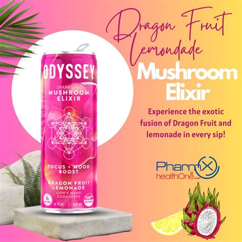 Odyssey Mushroom Elixir Energy Focus Drink Case