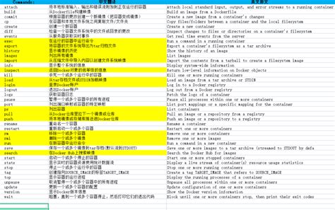 docker的常用命令 正则时光