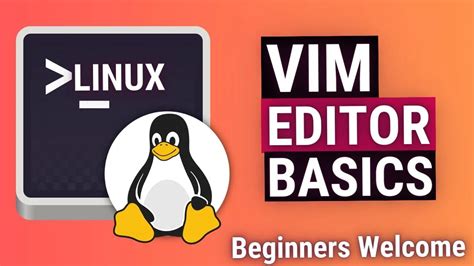 vim text editor basics how to use vim on linux ubuntu beginners guide