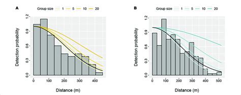 Distribution Of Perpendicular Detection Distances For A Humpback