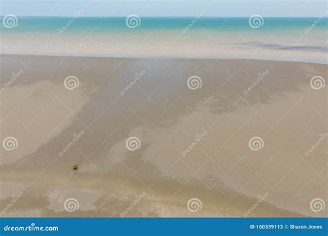 Aerial View Of The Sea And Mudflat Coastline At Low Tide With Lone Mangrove Stock Image Image
