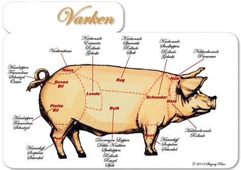 Wat Zit Waar Bij Een Varken Vlakbij De Molen