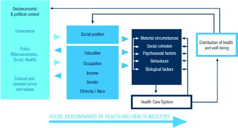 The Social Determinant Theoretical Framework From The World Health