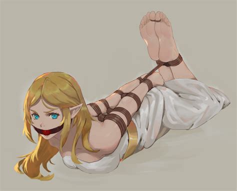 Rainnear Princess Zelda Nintendo The Legend Of Zelda The Legend Of