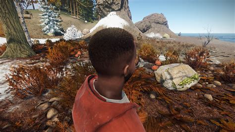 Vehicle Update News Rust