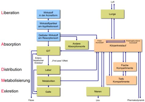 Ladme Karteikarten Quizlet