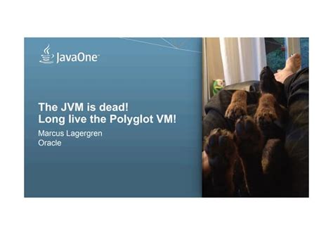 the java virtual machine is over the polyglot vm is here marcus