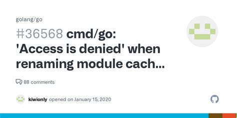 Cmd Go Access Is Denied When Renaming Module Cache Directory Issue Golang Go GitHub