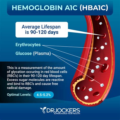 At Home Lab Testing For Inflammation And Metabolic Health