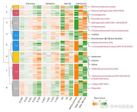 Nat Med 复旦大学吴浩团队宏基因组 代谢组双剑合璧揭示菌群 代谢物调控糖尿病新机制 知乎