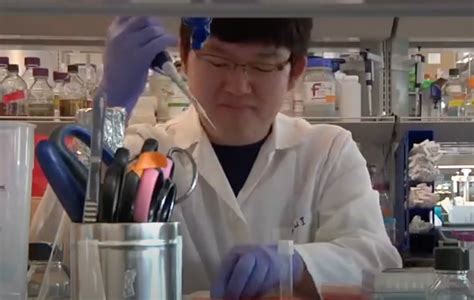 Tandem Repeat Raises 3m To Produce Natural Fibers From Plants