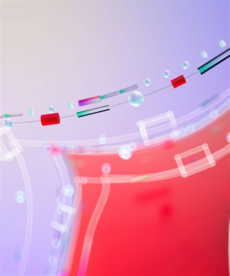 GitHub Universe Behance