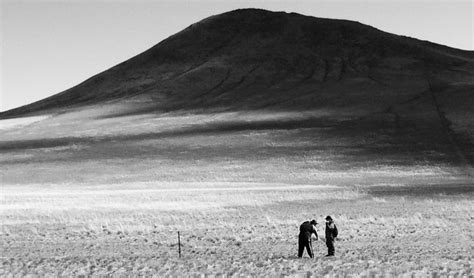 Grassland The Anthill