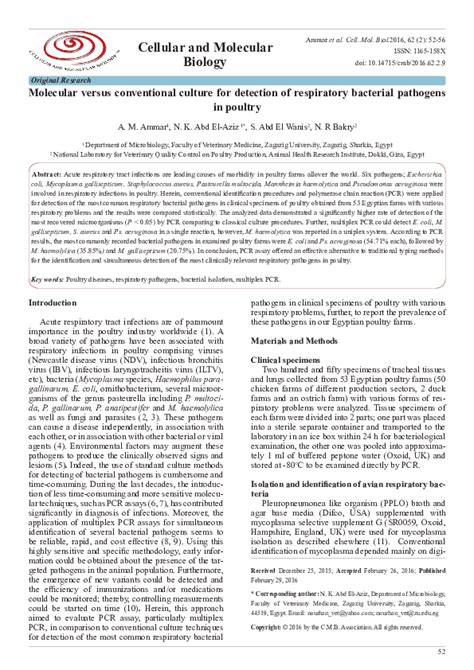 Pdf Molecular Versus Conventional Culture For Detection Of Respiratory Bacterial Pathogens In