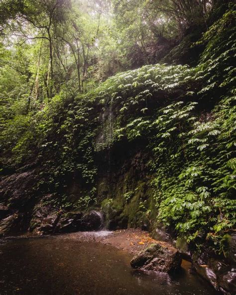 Gitgit Twin Waterfall Balis Incredible Canyon Waterfall — Walk My World