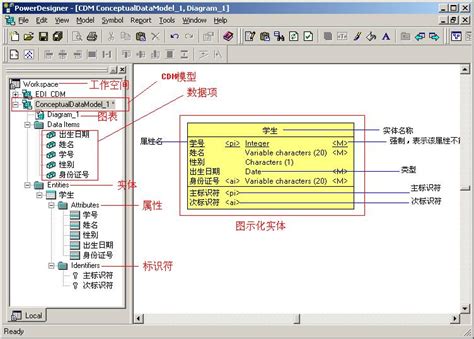 使用PowerDesigner画ER图详细教程 数据库 火龙果软件工程