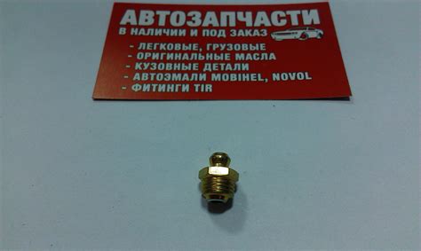 Купить Пресс-масленка M10х1 прямая, цена 9 ₴ — Prom.ua (ID#674741076)