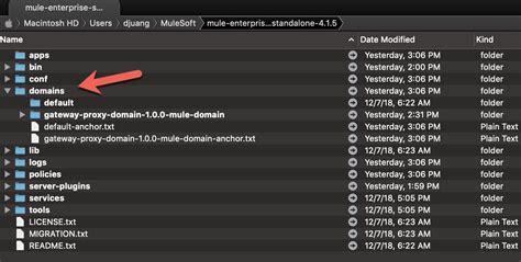 Setup MuleSoft API Proxy With Domains Dejim Com