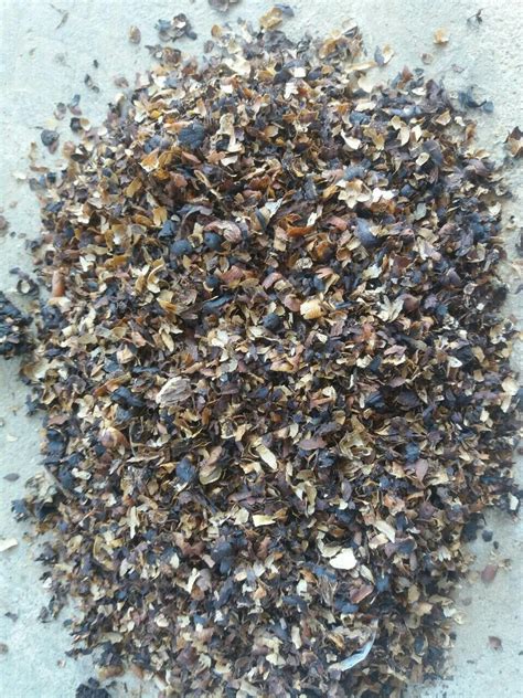 Ms Han Phan On Linkedin Coffee Shell Ms Katherine Hp 84166227