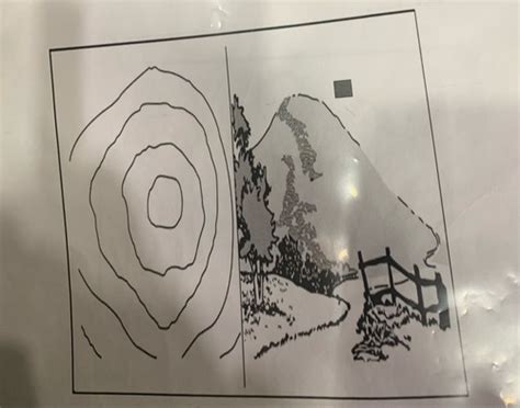 Warrior Skills Flashcards Quizlet